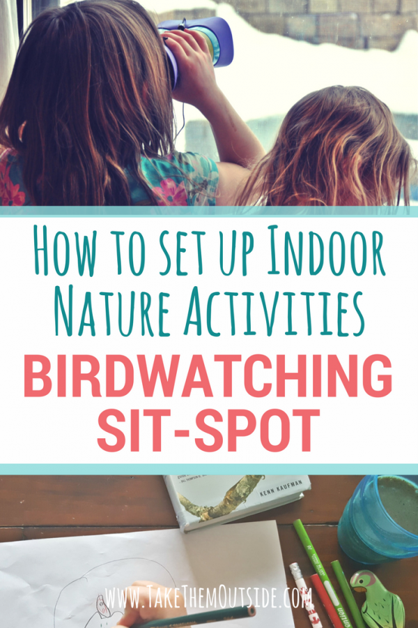Invite curiosity and learning with an indoor bird watching station ⋆ ...