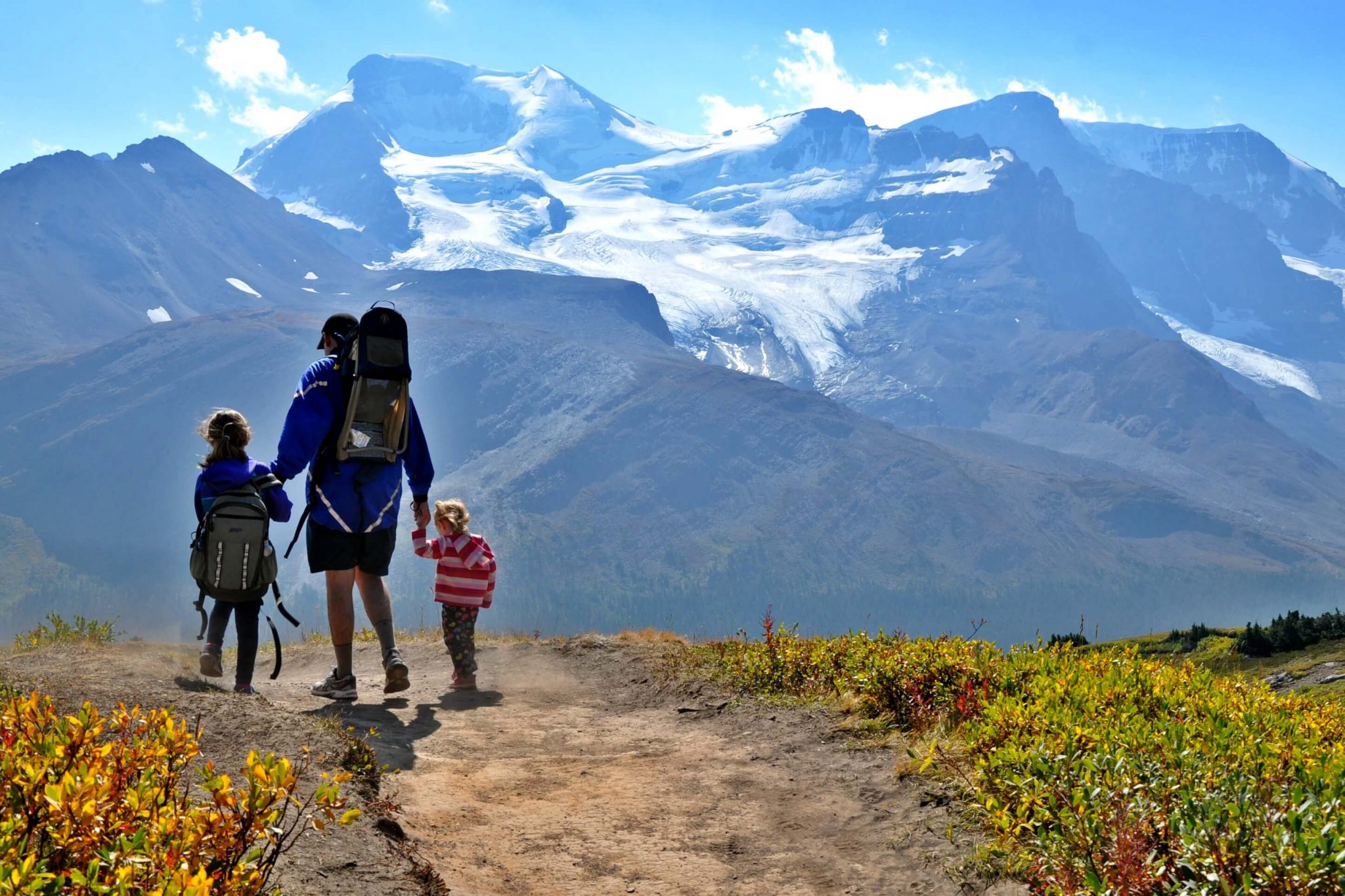 Wilcox Pass, Spectacular Views Above the Icefields Parkway ⋆ Take Them ...