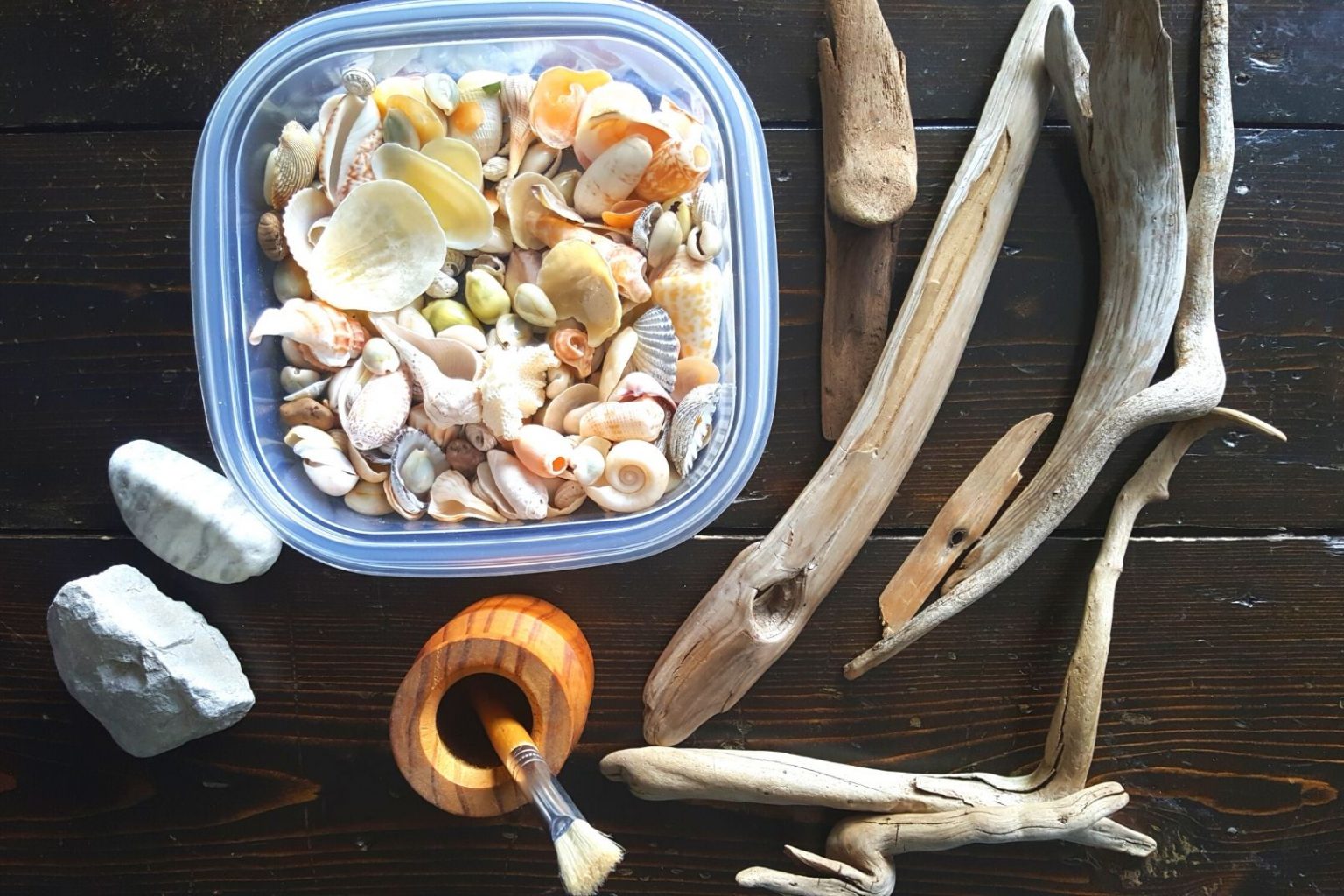 15 Easy Indoor Nature Activities for Kids ⋆ Take Them Outside