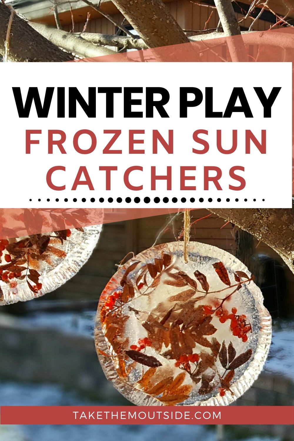 Ice Sun Catchers - freeze nature's beauty, great kid's activity! Take ...