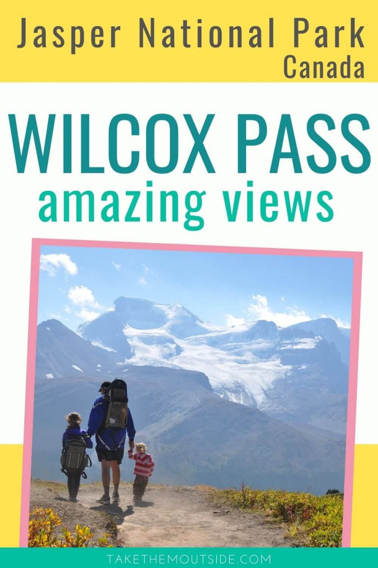 Wilcox Pass, Spectacular Views Above the Icefields Parkway ⋆ Take Them ...