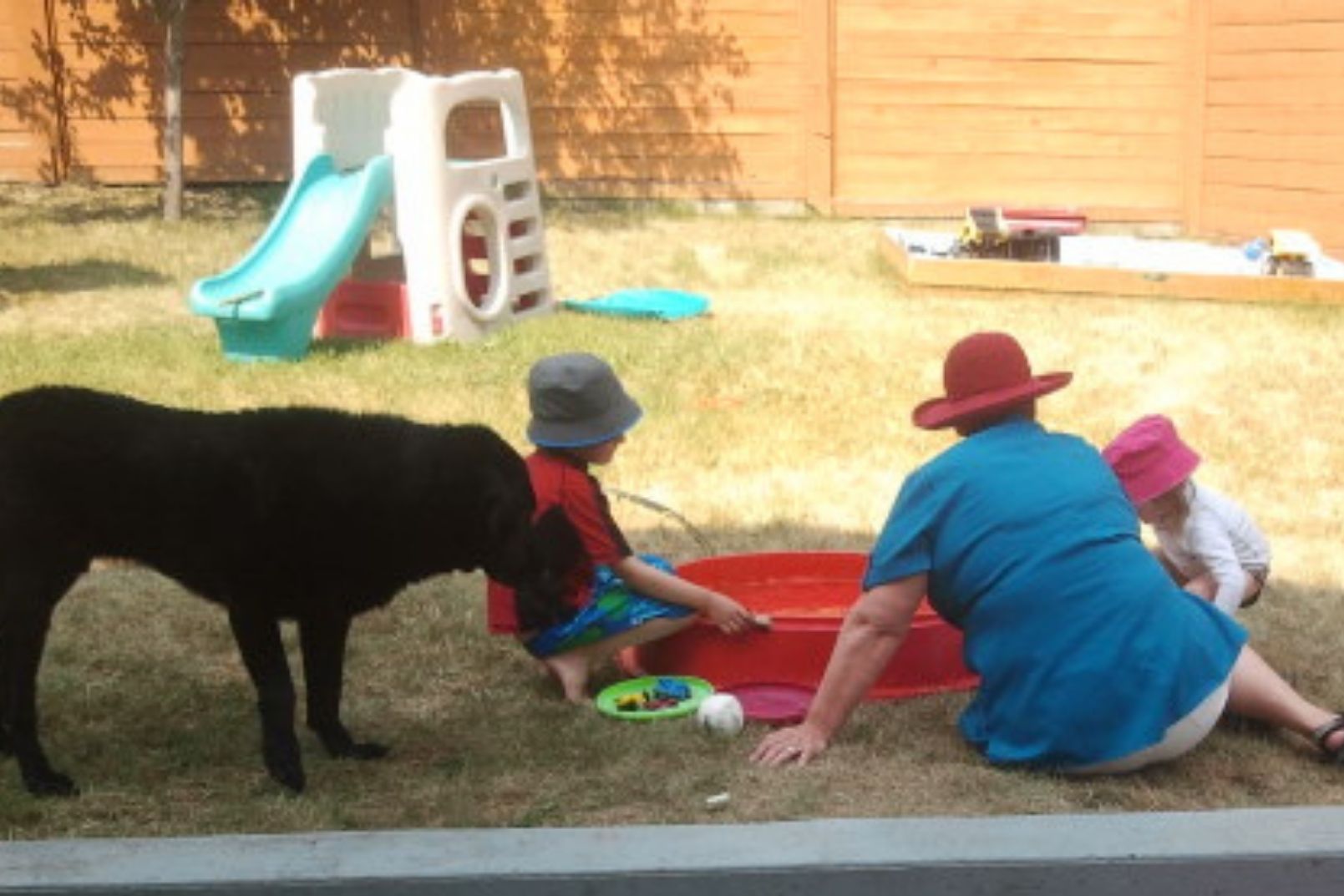 7 Easy Gardening Projects - things to do with grandkids! ⋆ Take Them ...