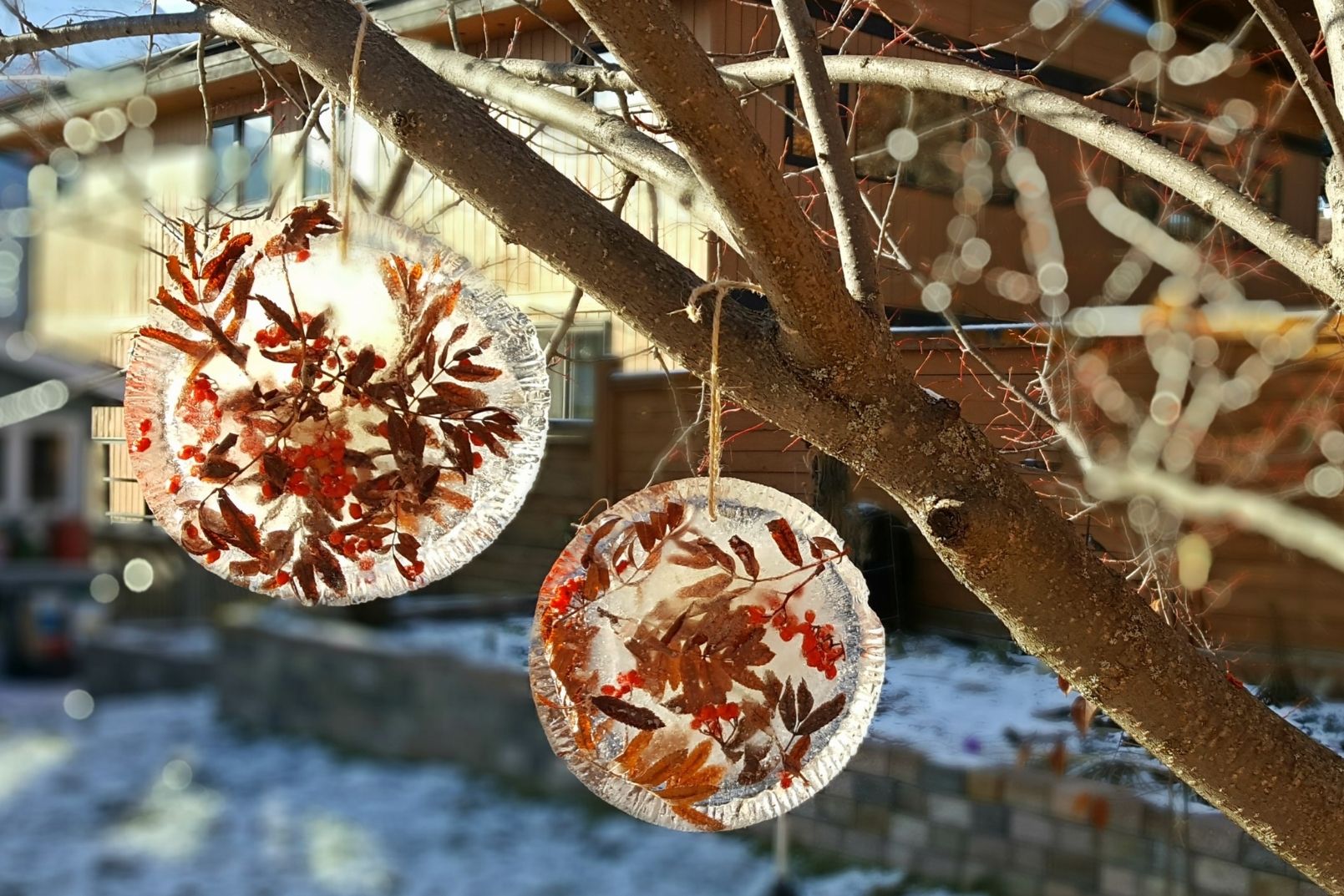 Ice Sun Catchers - freeze nature's beauty, great kid's activity! Take ...
