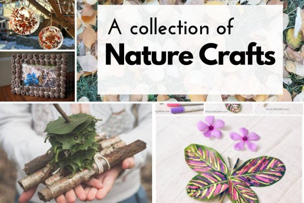 15 Beautiful nature craft ideas for kids ⋆ Take Them Outside